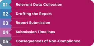 101 Guide to POSH Annual report Submission